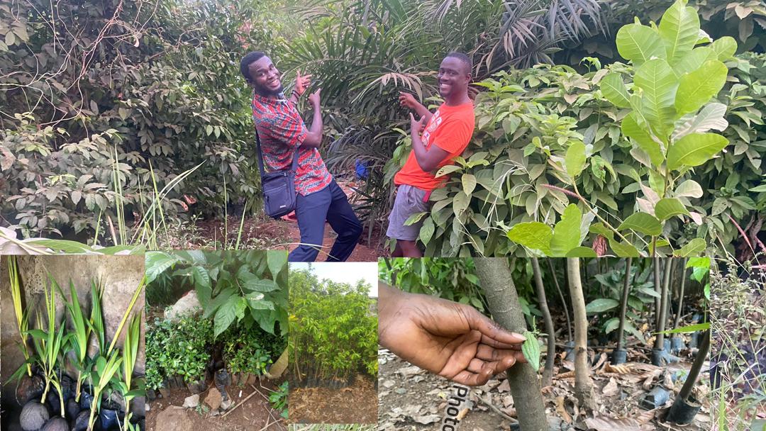 Konson Grow Green founder seeks to achieve Feed Salone initiative ...